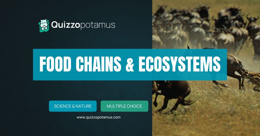 Food Chains & Ecosystems - Quizzopotamus