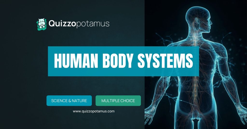 Human Body Systems - Quizzopotamus